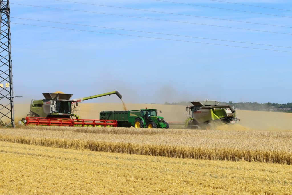 Harvesting | Mentmore Park Farms