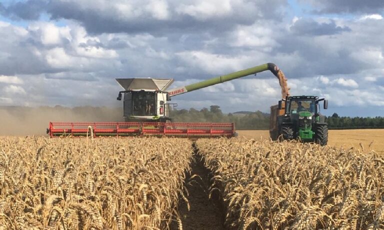 Mentmore Park Farms Ltd