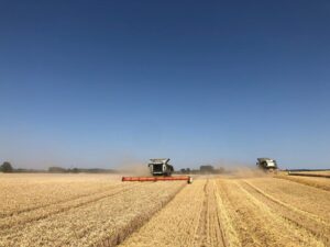 Gallery | Mentmore Park Farms